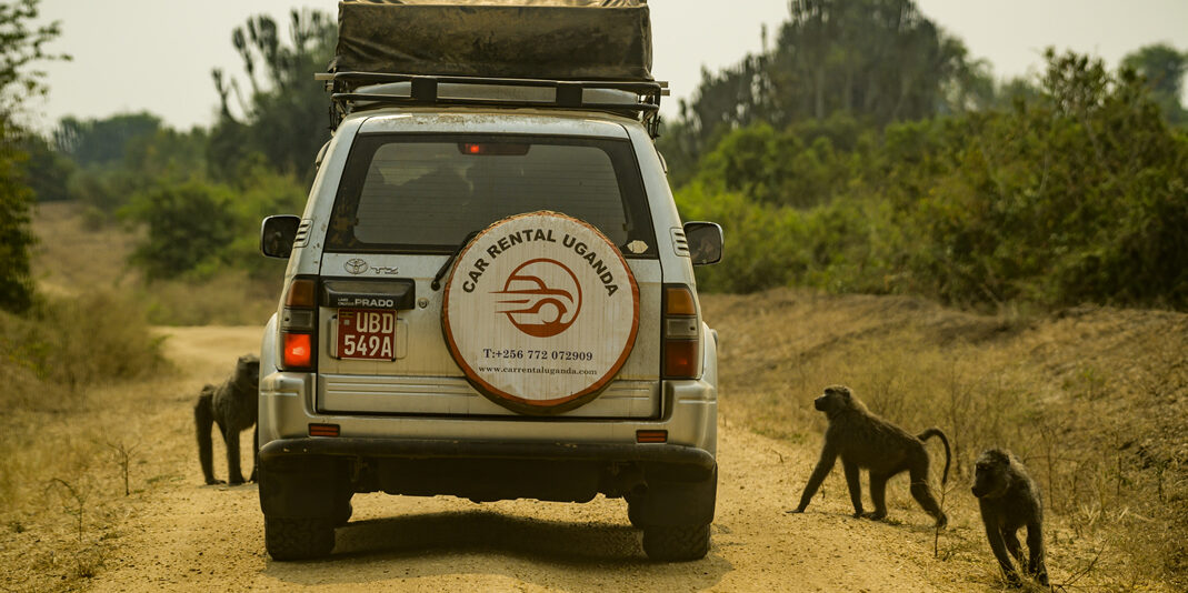 Beginners Guide to Renting a Car & Self Driving in Uganda - Car Hire Uganda